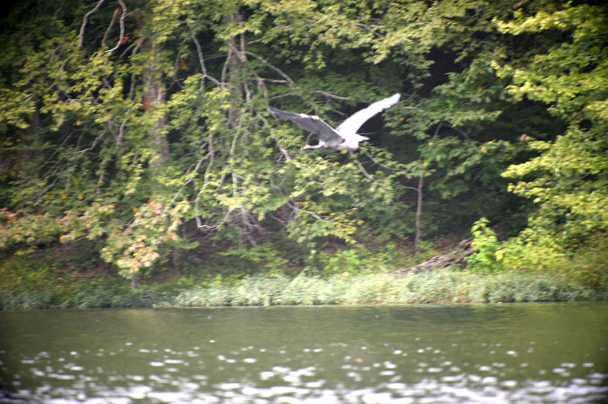 BaitRageous: Kayak Fishing Marrowbone Lake
