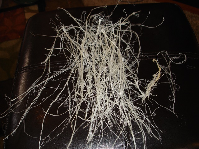 Stitching Up History: Preparing and Sewing With Real Back Strap Deer Sinew