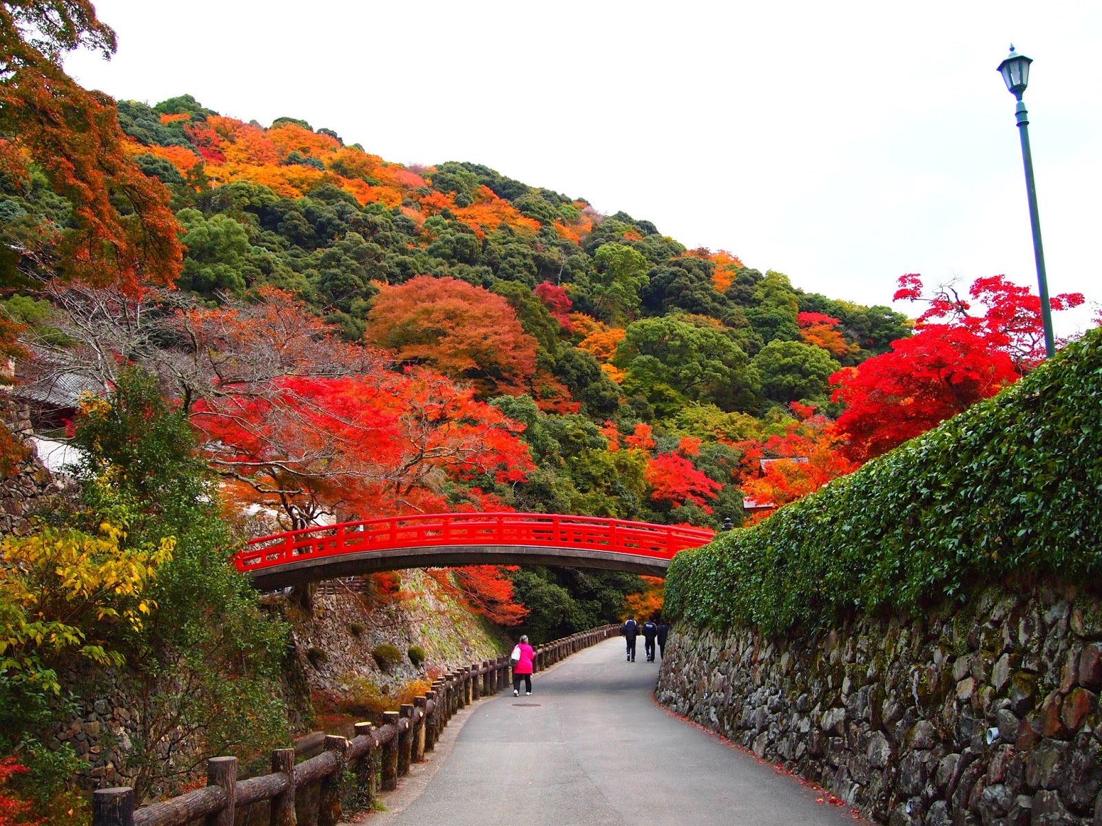 Sights, Events and Activities Info. in Osaka: Let's enjoy the autumn ...
