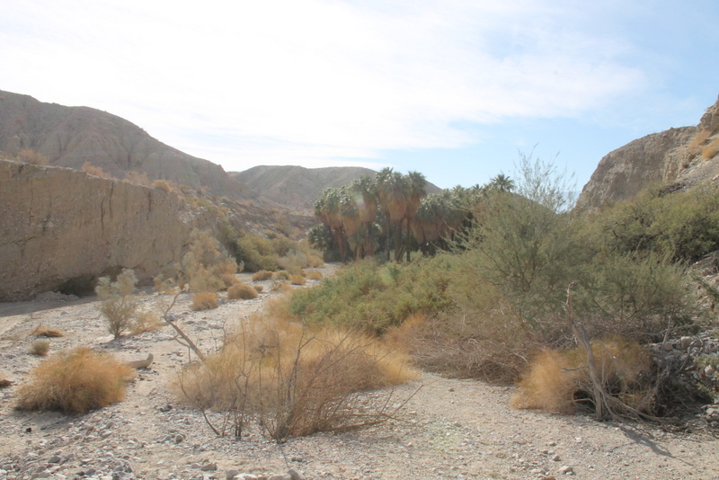 Geo's Journal: 2012 - Pushawalla Palms Loop