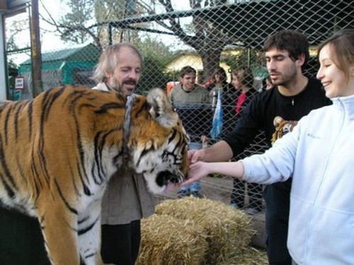 For The Sake of Us : Worlds Most Dangerous Zoo Photos With Lion