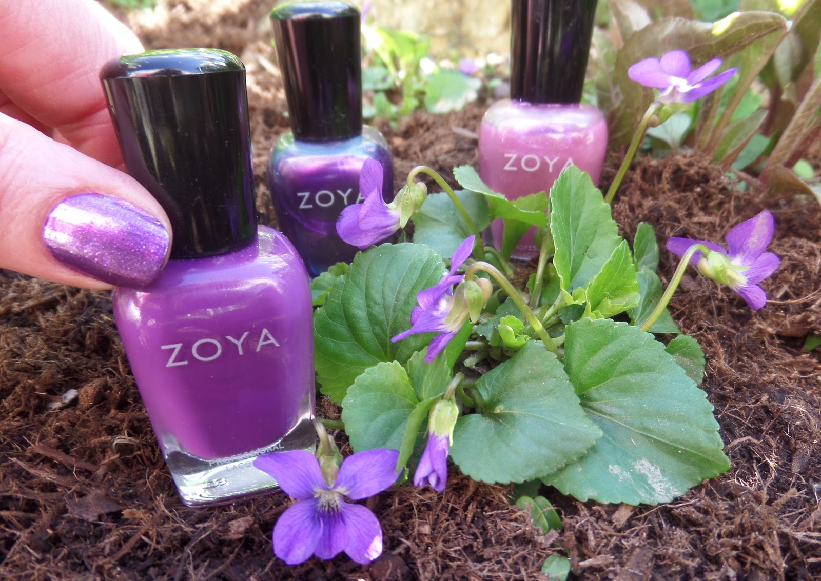 Zoya Violet Nail Colors with Wild Violet Flowers in my Garden