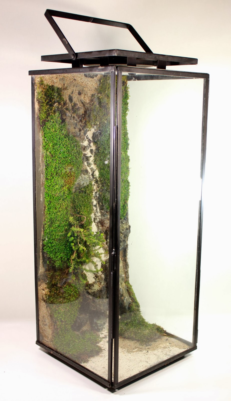 Best way to make a dirt wall? : terrariums