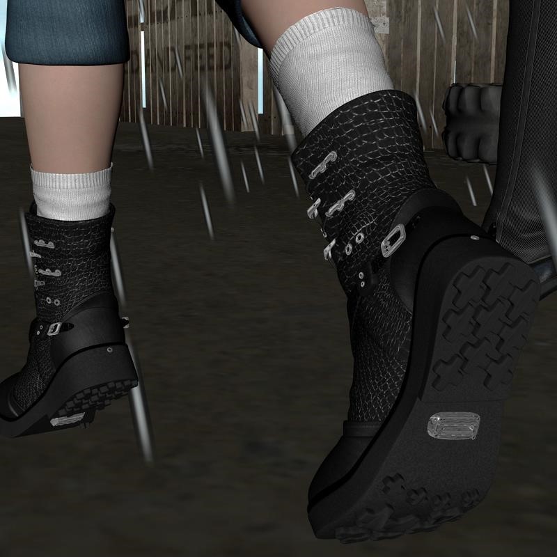 Shanty-Town Shoelicker