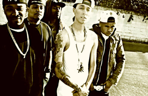 The Effects of Social and Cultural Capital on the Formation of Gangs ...