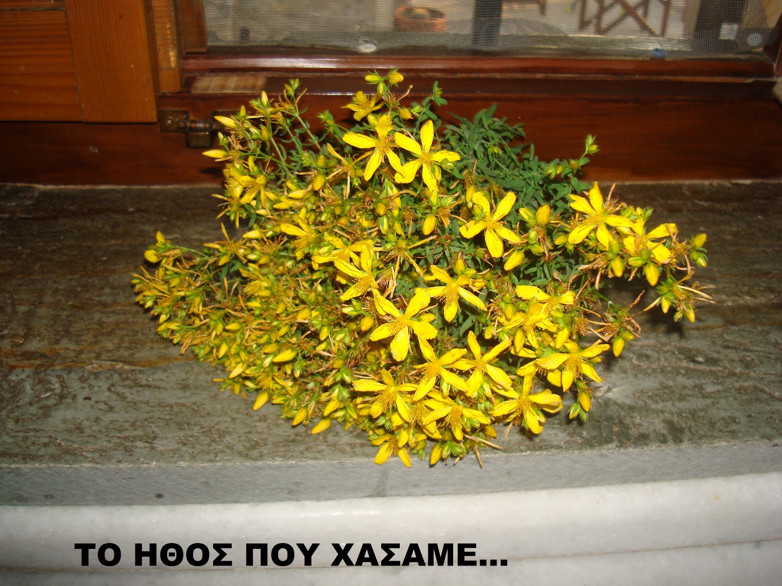 TΟ ΗΘΟΣ ΠΟΥ ΧΑΣΑΜΕ...: Βαλσαμόλαδο...