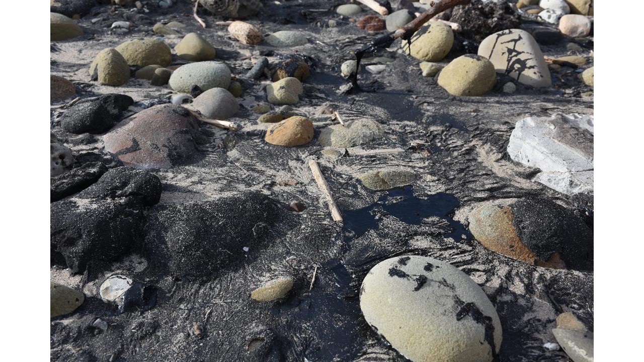 Wandering Environmentalist: Tar "Pits"