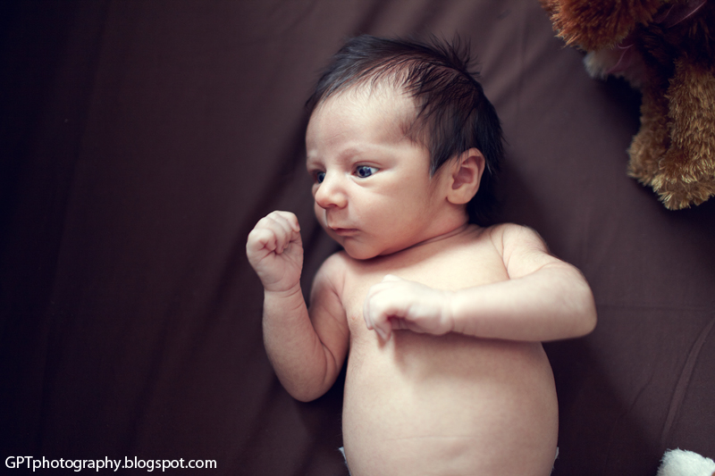 Greg Paul Thompson Photography: Baby Brogan