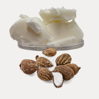 Essentia Un toque Natural: Que es el Karite y sus Beneficios