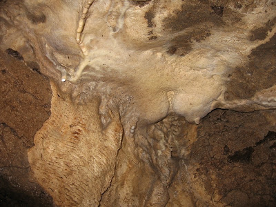 Tangled Web: Ontario's Largest Natural Cavern