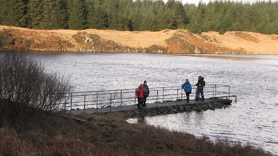The Glebe Blog: Wigtownshire Ramblers Wood of Cree to Loch Middle