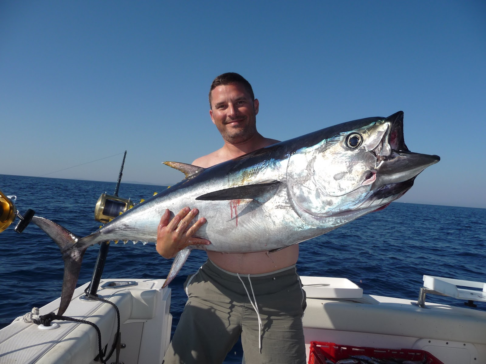 Sundfisker.dk - Blog : Uge 34 - Tunfiskeri i Kroatien - The best job in ...