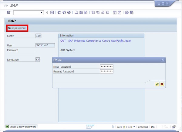 SAP Logging onto SAP System | SAP Online Guides