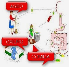 PARASITOLOGÍA: OXIUROS