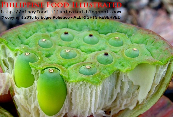 Philippine Food Illustrated: sawa