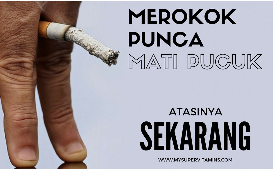 Merokok Punca Mati Pucuk dan Tidak Dapat Anak ! - Pengedar Shaklee ...