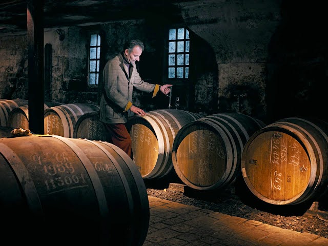 Behind the French Menu: Deciphering Cognac Labels and How to Tell the ...