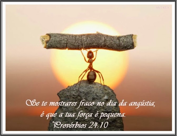 Defenda seus princípios-Provérbios 24:10