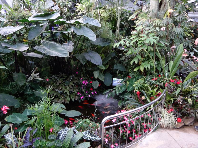 Backroader: Pukekura Park Fernery