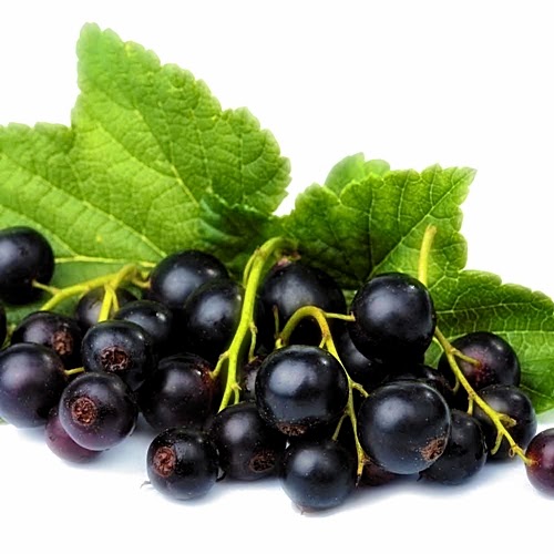 All know: Óleo de groselha Negra Benefícios