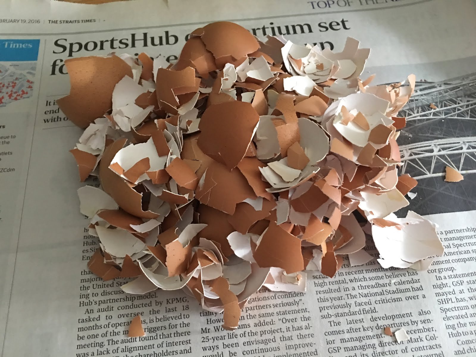 The Lazy Cook: Egg Shell Fertilizer