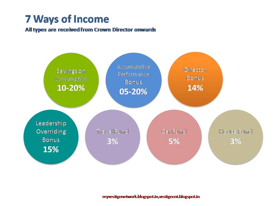 Vestige Digital Network: INCOME GROWTH PLAN