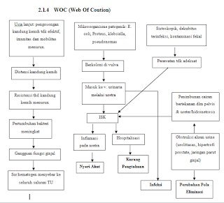 ASUHAN KEPERAWATAN INFEKSI SALURAN KEMIH (ISK)