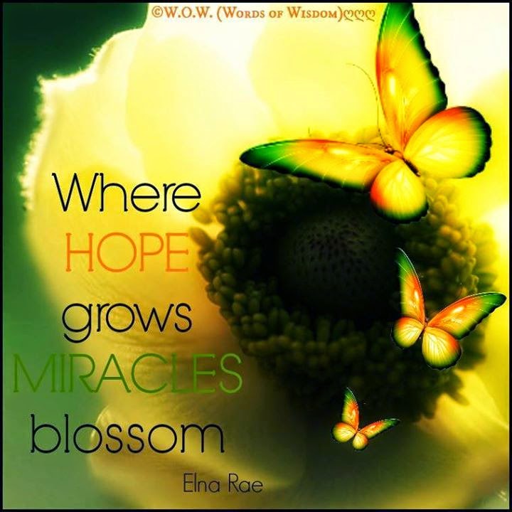 WHERE HOPE GROWS MIRACLES BLOSSOM - Quotes