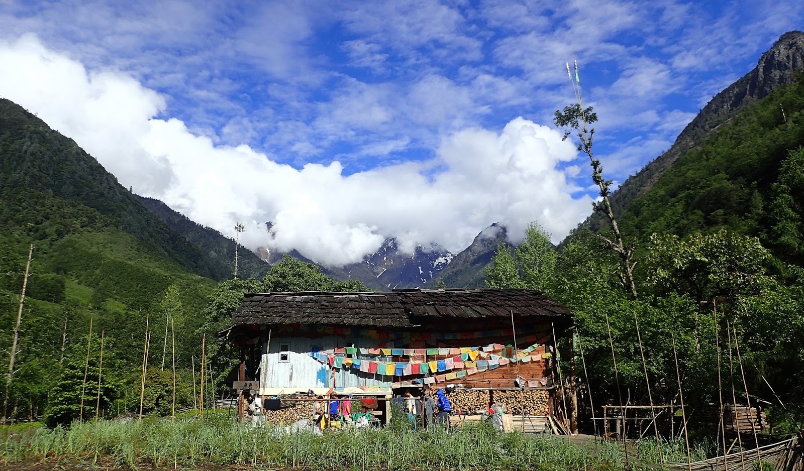 The Itinerant Biologist: Myanmar Expedition: The search for snow leopards