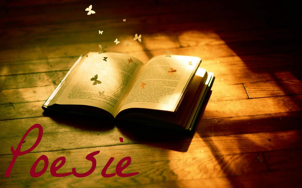 TuttoPerTutti: Letture