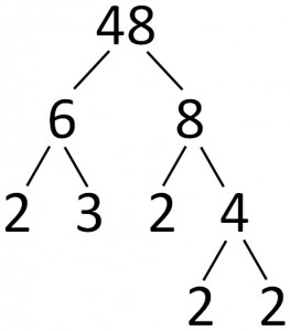 Learning Together in 6B: Crazy about Factor Trees