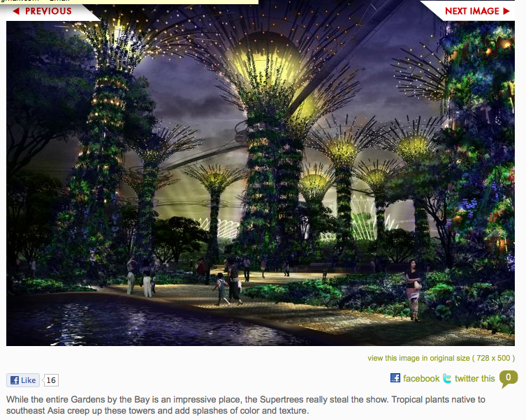 Eco~Architecture & Eco~Living: Singapore’s Spectacular Solar Supertrees