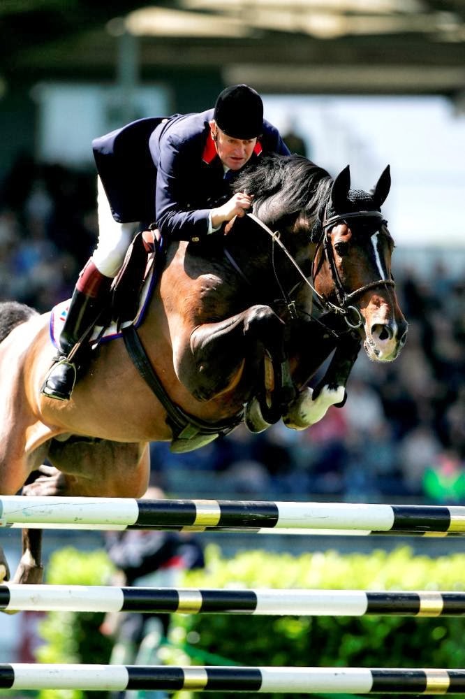 Cob Jockey: Sunday Conformation Series #4: Shoulders