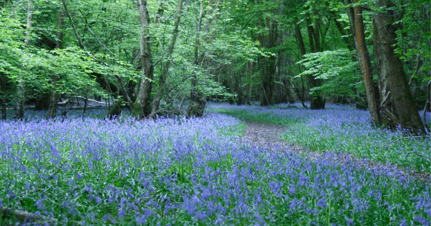 Jessica Cross ASMR: Question Centered Guided Meditation - What are the ...