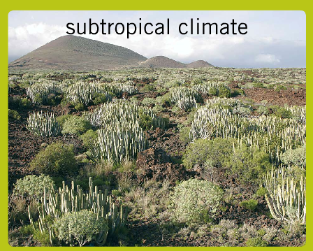 Mi primer año en Red XXI: CLIMATE - The environment (Unit 9 - Science Y5)