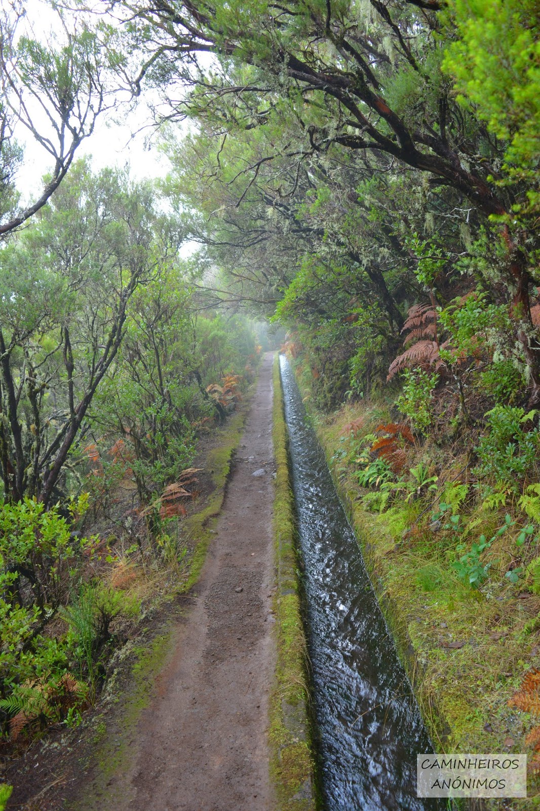 Caminheiros Anónimos Levadas da Madeira : Levada Grande do Paul (Calheta)