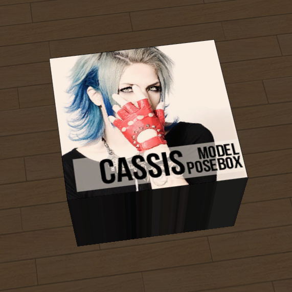 Ja i moje Simsy: CASSIS Model Posebox - Prezentacja Posebox'a do The Sims 2