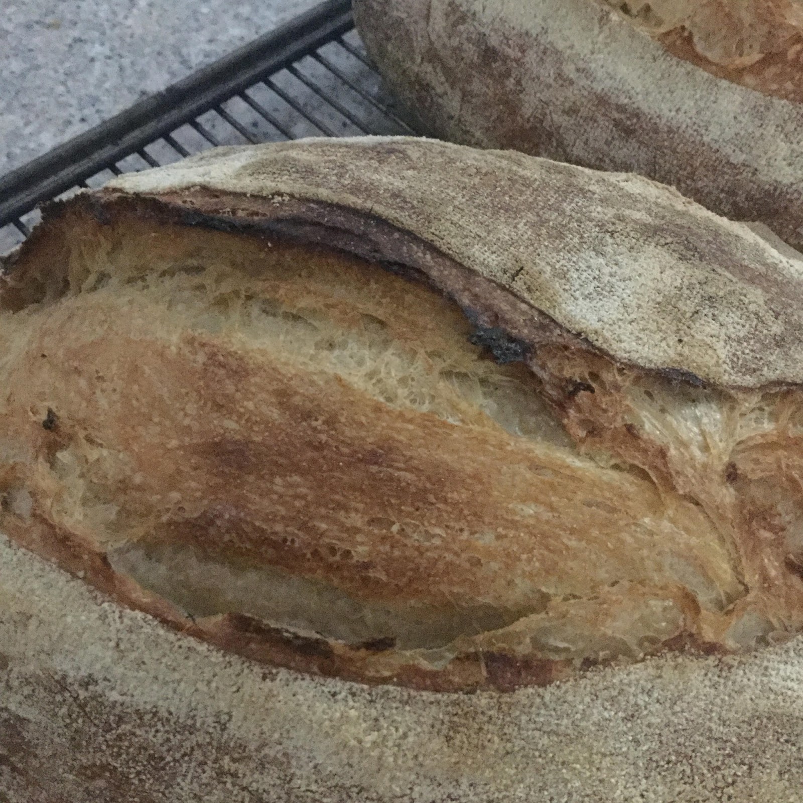 COCINAR PARA LOS MIOS: PAN DE MASA MADRE CON T 80 DE ROCA