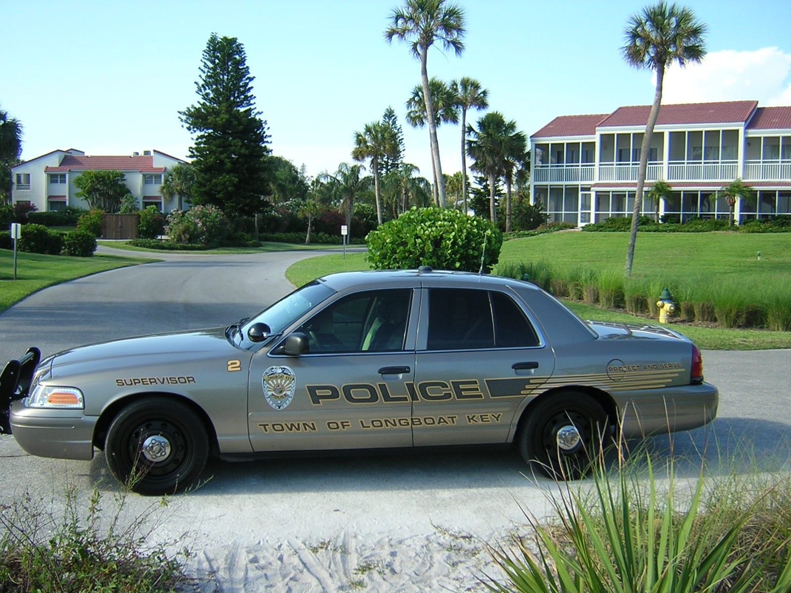 Walk on the Wild side: Citizens On Patrol