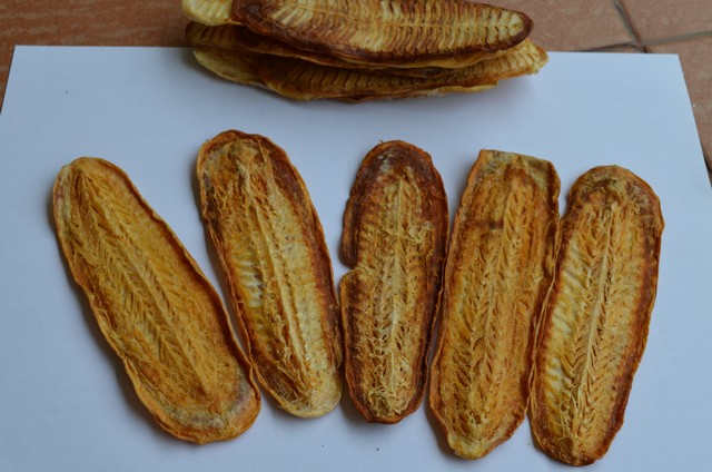 BLOG UTAMA Y.M PADUKA AYAHANDA PAY 8: TAMAT BID IKAN TEMPEL