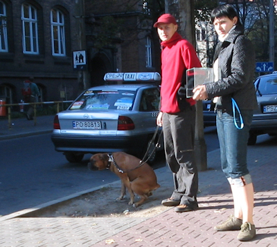 Jakub Paluszkiewicz - Dzień w dzień: Psia kupa. Miły widok z rana.