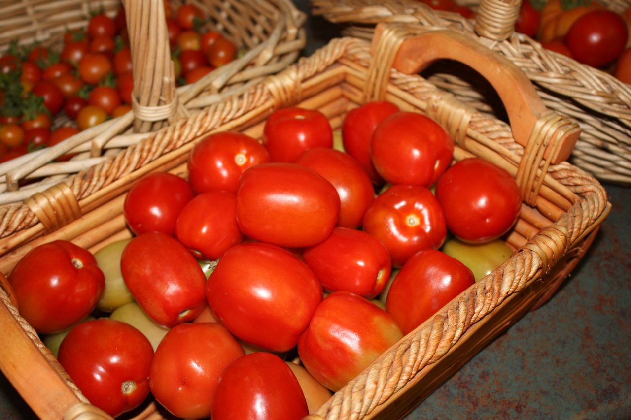 The Messy Gardener: Tomato Retrospective