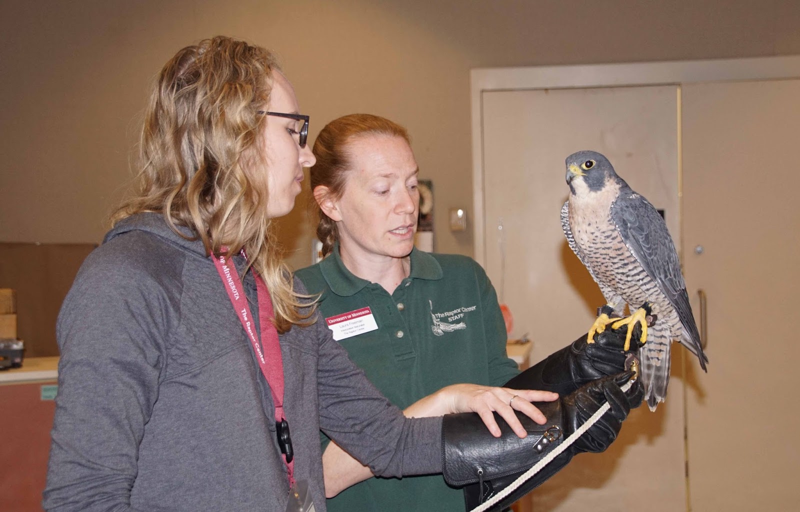 The Raptor Center: Care and Management of Captive Raptors Workshop