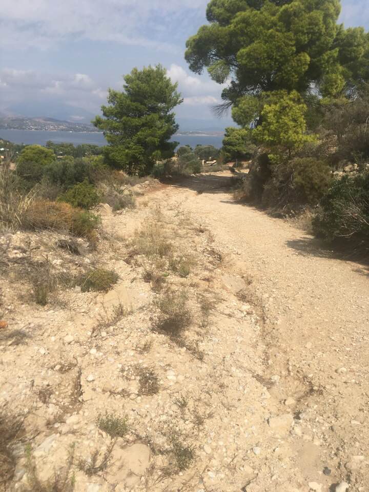 Ιχνηλάτες Ερμιονίδας : ΔΗΜΗΤΡΗΣ ΣΦΥΡΗΣ :ΣΥΝΕΧΙΖΟΝΤΑΙ ΟΙ ΕΝΕΡΓΕΙΕΣ ΤΟΥ ...
