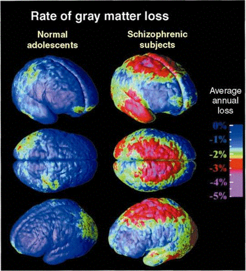 Magic Theatre's Digiturgy HotSpot: The Literary Life of Claire Chafee's ...