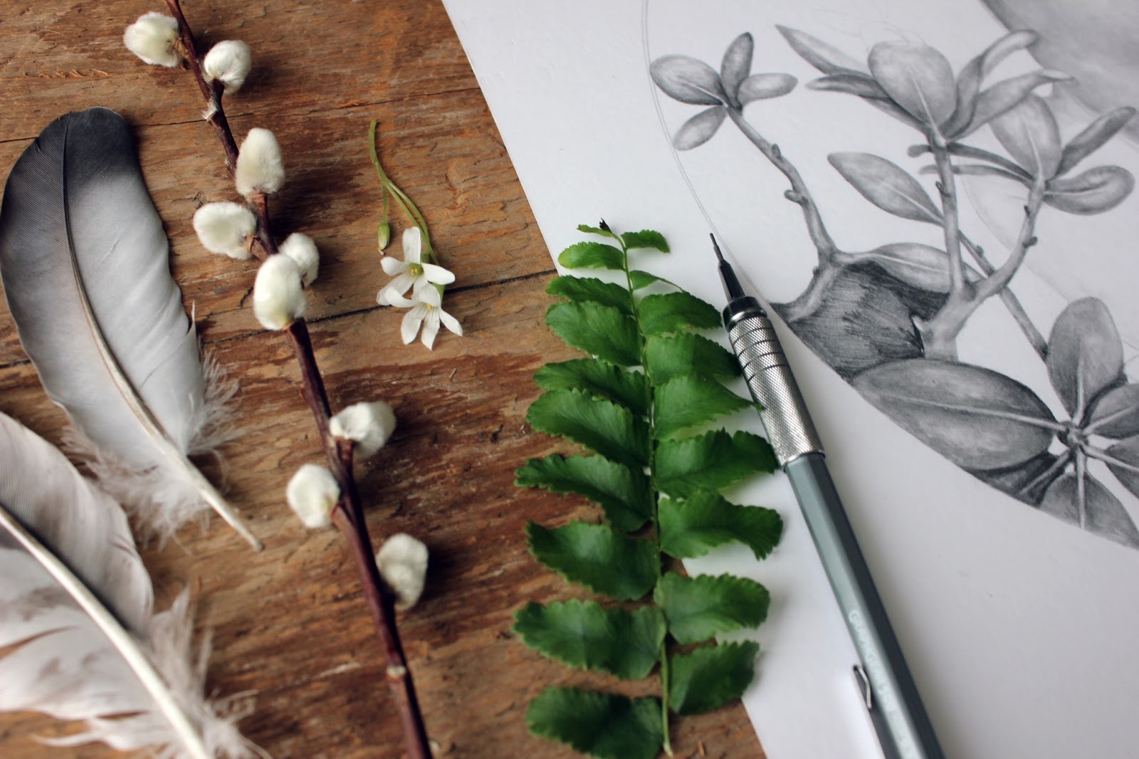 The Art of Kelly Mitchell