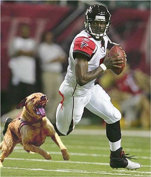 Sueños de Olimpia / Olympia´s dreams: MICHAEL VICK, UNA VIDA DE PERROS ...