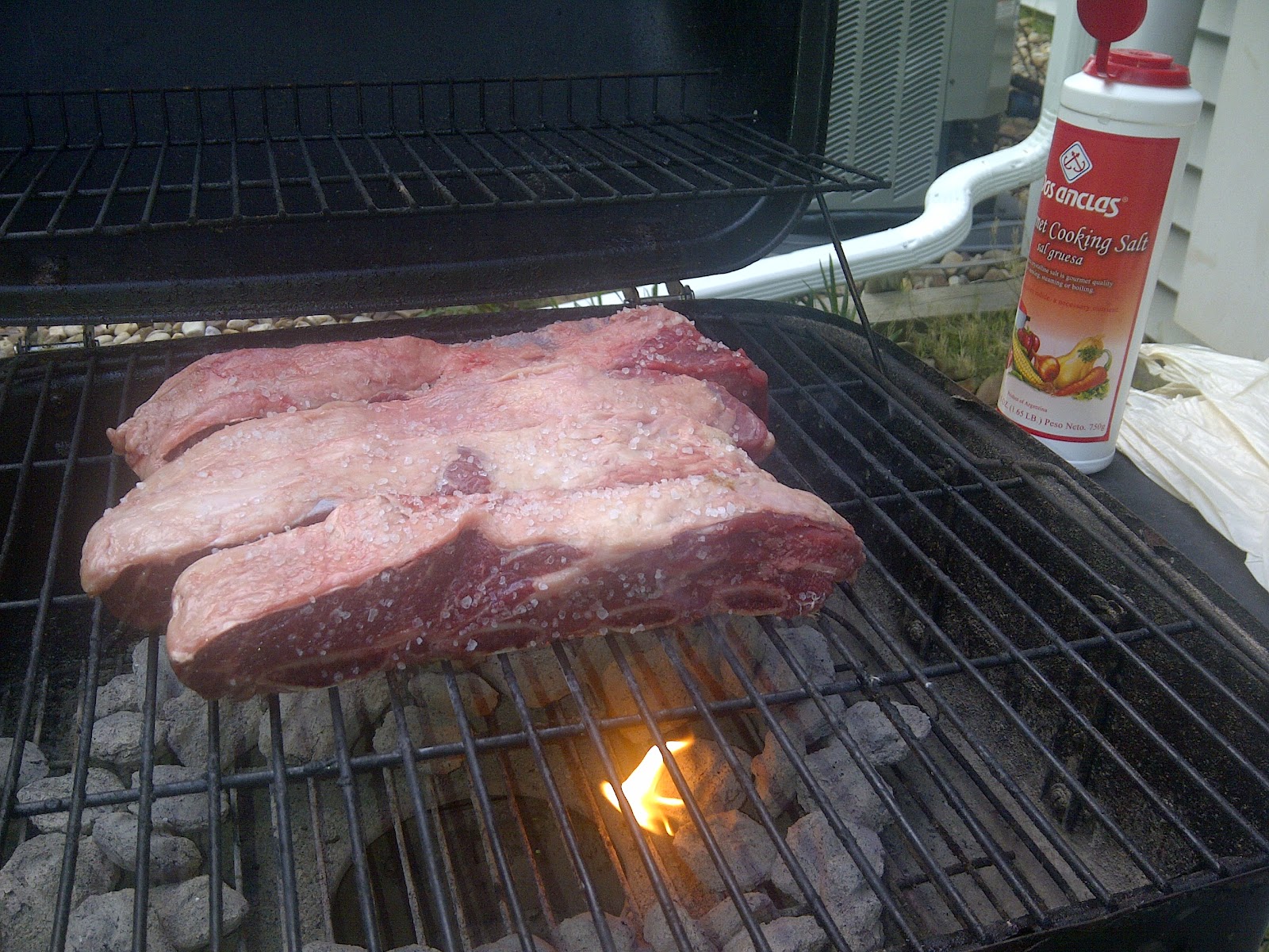 Leo's Food: Brontosaurus Ribs