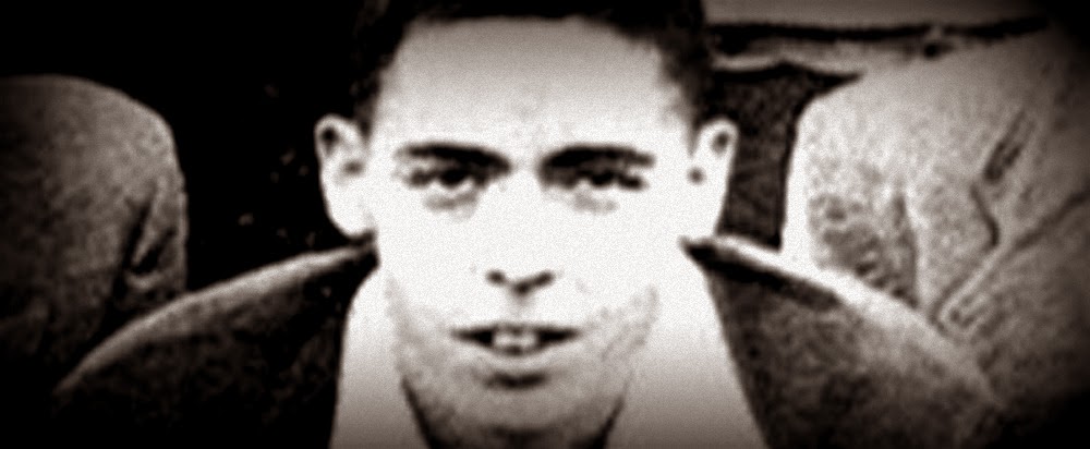 Quién es Thomas Pynchon | PCS box