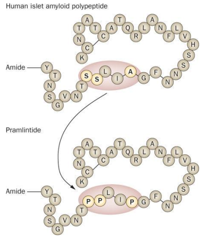 học Y: sử dụng thuốc điều trị đái tháo đường